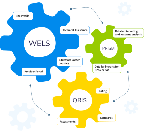WELS Demo | WELS Systems Foundation